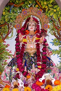 Tulasi Maharani - For the Pleasure of Lord Krishna